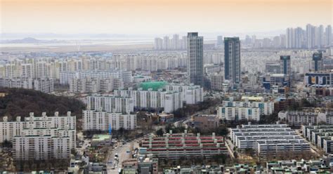 전세사기 피해 주택 11 불법건축물이었다현행법상 불법 아냐