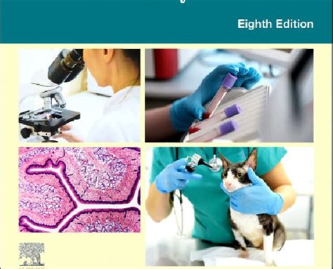 Latest Posts Booksvets Blog Veterinary Books