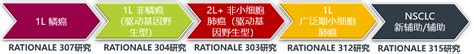 免疫联合再革新 替雷利珠单抗 化疗 肺癌一线治疗有效率生存期双双提升 试管婴儿流程网