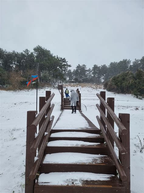 제주도 올레길 16코스 항몽유적지 돌염전 이야기와 추천하는 지도보기 네이버 블로그
