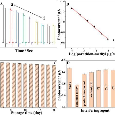 A Photocurrent Responses Of Znoito Znogrito Znogasito And