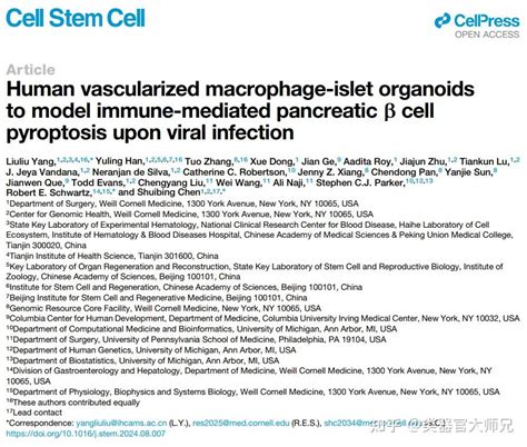 Cell Stem Cell丨巨噬细胞 胰岛类器官模拟胰腺β细胞焦亡 知乎