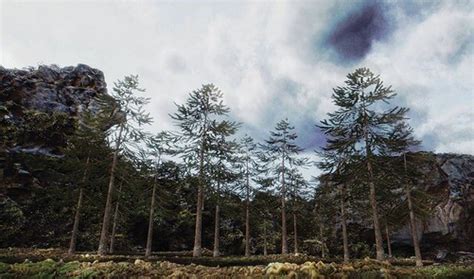 Can You Show Me How To Create And Animate Trees In Blender 3d World Everand