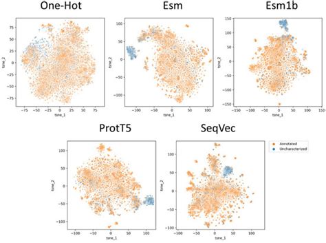 Survey Of Protein Sequence Embedding Models