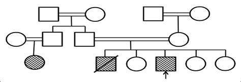Epidermolytic Ichthyosis Without Keratin 1 Or 10 Mutations Saudi Journal Of Medicine