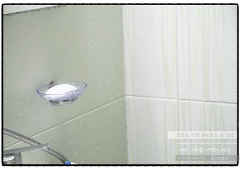 우리집 화장실 타일 줄눈청소 하는 방법 네이버 블로그