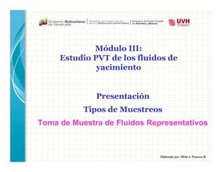 Toma Muestra Pdf