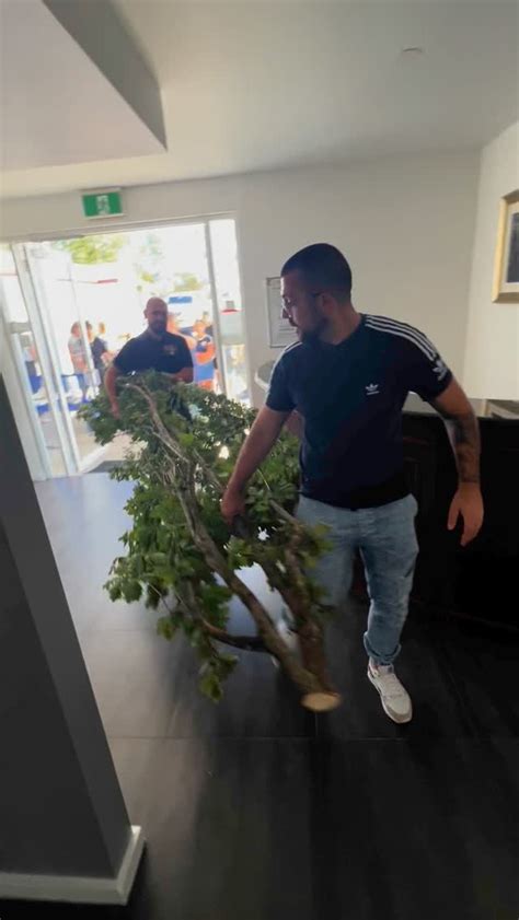 Serbian Orthodox Church Gold Coast Serbianorthodoxchurch Gc • Instagram Photos And Videos