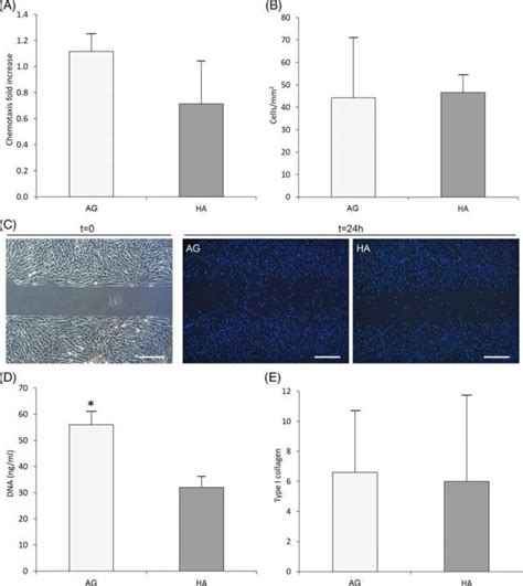 划痕实验 结果 大山谷图库