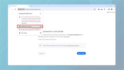 Neterrcertcommonnameinvalid Resolved