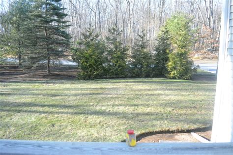 Trugreen Getting Backyards Ready For The Spring Trugreen Mc The