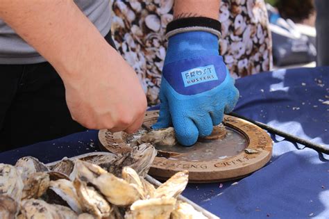 6 Billion Oysters In Chesapeake Oyster Alliance Pushes To Rebuild The
