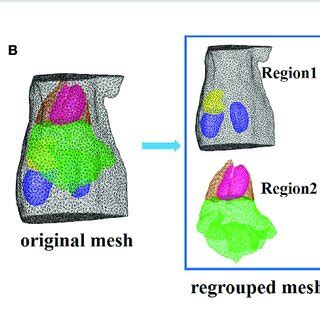 The Digital Mouse Used In The Simulation Experiment A The Mouse Download Scientific