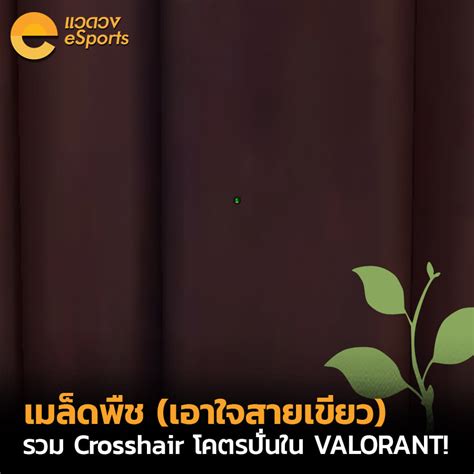 แวดวง รวมเป้า อันนี้สำหรับคนที่เคยลองใช้ Crosshair