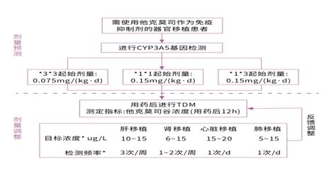 公司新闻