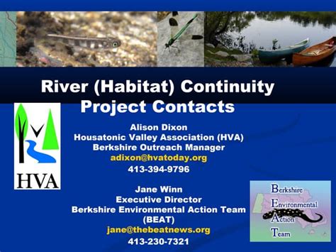 River And Stream Continuity Ppt Science