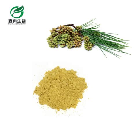 Pine Pollen Extract 201 Extract Powder Buy Pine Pollen Extract 201
