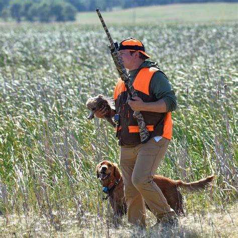 Nd Pheasant Hunts Guide And Outfitter