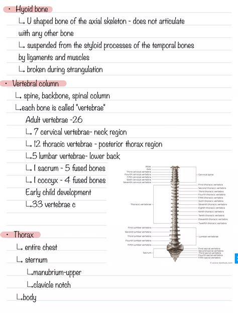 The Human Skeletal System Structure Function And Health Human Skeletal System Skeletal