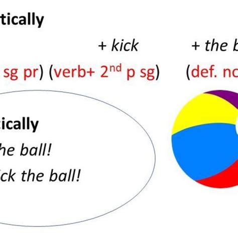 How Do You Learn Analytic Vs Holistic Approach To Language Learning