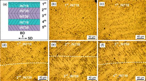 Metallographic Structures Of As Deposited In738 In718 A Is The Download Scientific Diagram