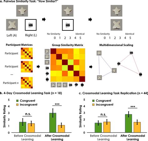 Figures And Data In Experience Transforms Crossmodal Object Representations In The Anterior