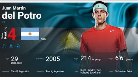 El Gran Momento Del Tenis Argentino Del Potro Alcanzó Su Mejor Ranking