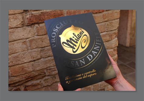 MILANI :: Behance