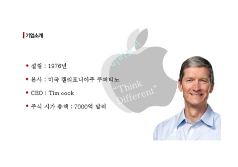 글로벌 경영전략애플 마케팅애플사례애플 브랜드마케팅서비스마케팅글로벌경영사례분석제조생산기업분석