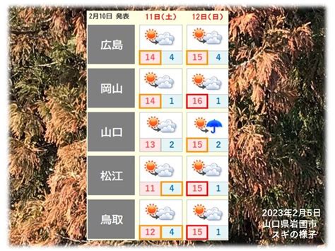 中国地方今週末スギ花粉少量飛散 来週 南岸低気圧と寒気で雨や雪 真冬並みの寒さに気象予報士 高田 尚美 2023年02月10日 日本