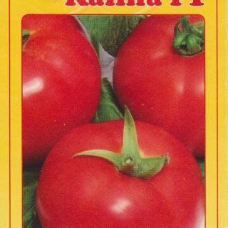 Домати-КАЛИНА F1 - 50с.
