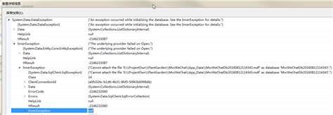 Entity Framework Codefirst Dataexceptioninnerexception