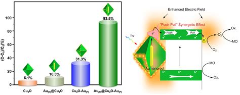 论文发表 王 斌 教师个人主页