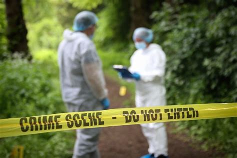 Train Inspire Support Forensic Training Partnership