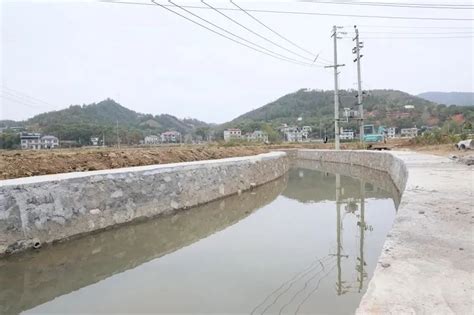 乡村振兴金山镇冬修水利正当时 夯实基础惠民生 乡村振兴 文章中心 新声音传媒网