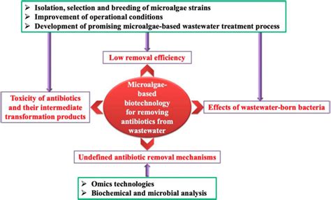 Frontiers Microalgae Based Biotechnology As A Promising Strategy For