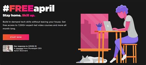 How To Call A Stored Procedure Using Dapper In C Hackernoon