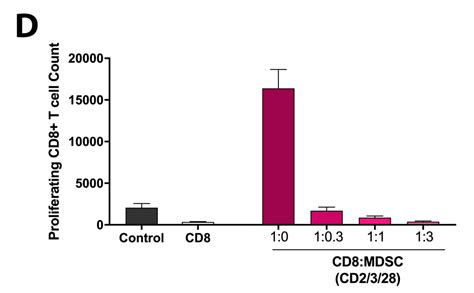 T Cell Suppression Assays Immunology Cro Celentyx