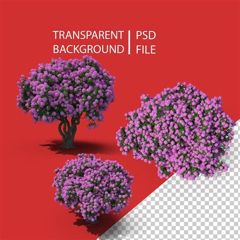Rhododendron Purple Flower Tree Png Premium Psd