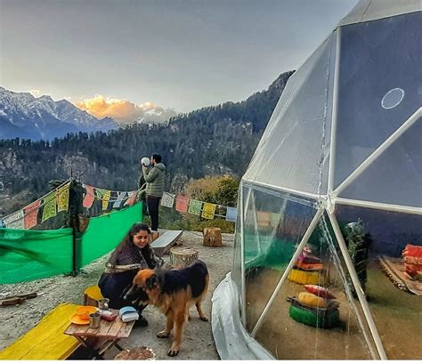 Jumbo Dome In Manali For Group Stay Bunkout