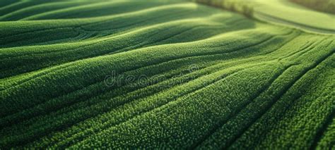 Aerial View Of Vast Green Fields With The Landscape Geometry Texture