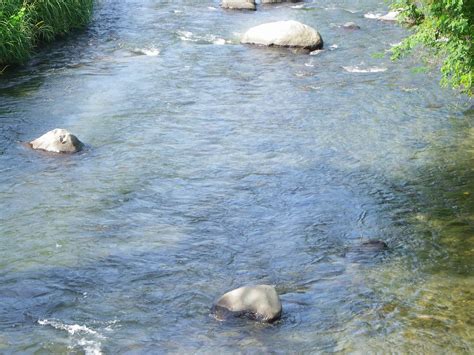 La rivière capot ou la capote Martinique