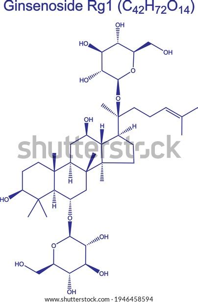 Ginsenoside Rg1 Ginseng Molecule Chemical Formula Stock Vector Royalty