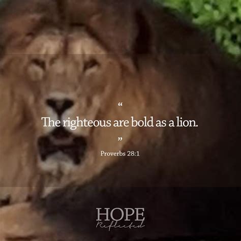 Be Bold Hope Reflected