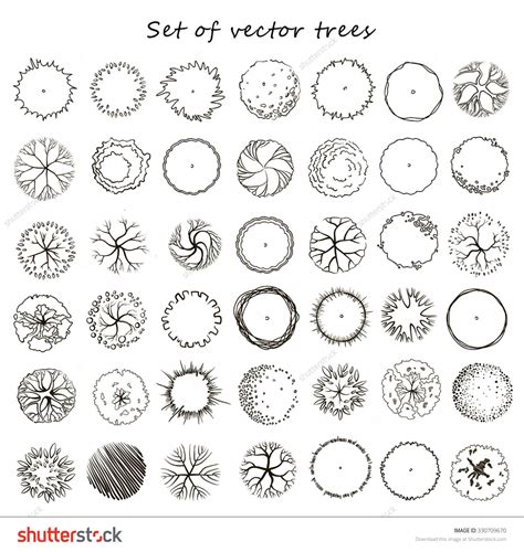 Tree Plan Vector At Collection Of Tree Plan Vector