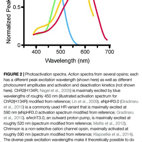 Overview Of Several Light Sensitive Proteins Their Variants And
