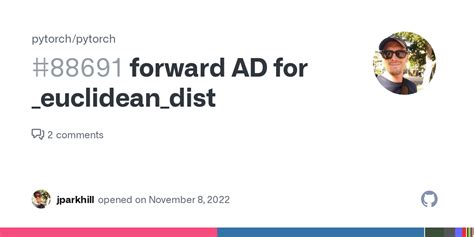 Forward Ad For Euclidean Dist Issue Pytorch Pytorch Github