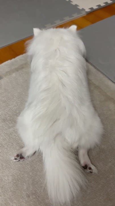 슈퍼맨이 되고 싶은 아이 Youtube