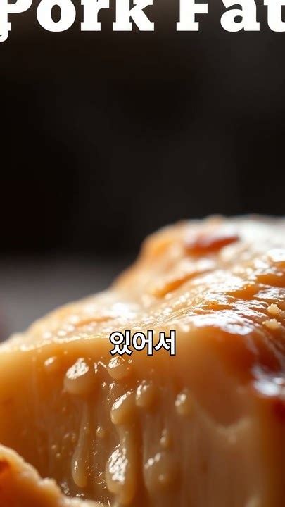 “몸에 안 좋다며 뺐던 돼지비계… 알고 보니 수퍼푸드” Youtube