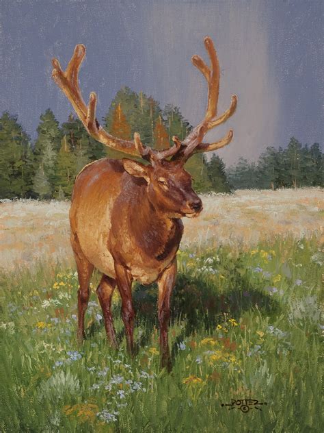 Rendezvous Royale Western Fine Art Cody Wyoming